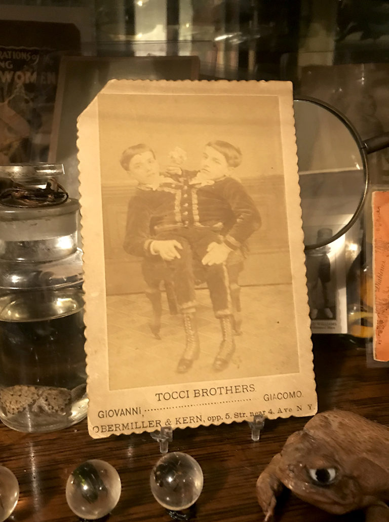 A Few Things to Know About the Extraordinary Tocci Brothers - Weird ...