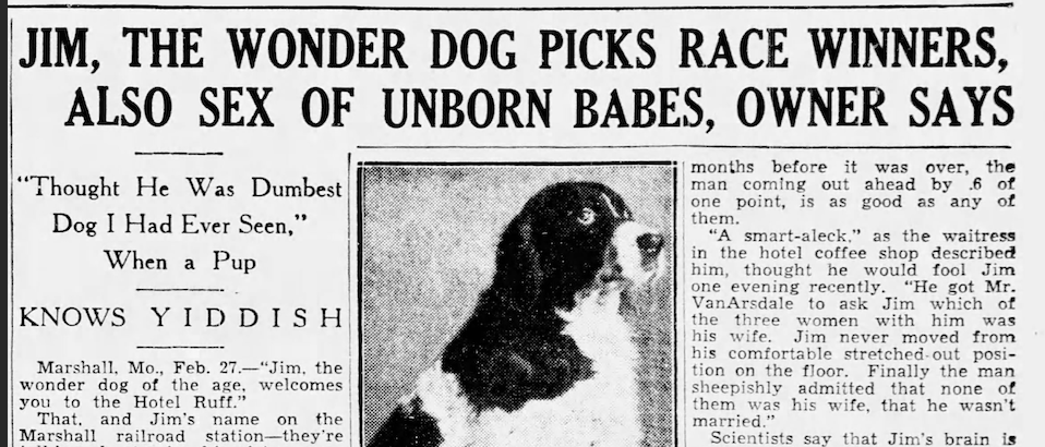 Jim the Wonder Dog Truly Lived Up to His Name