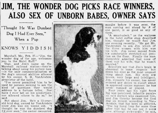 Jim the Wonder Dog Truly Lived Up to His Name